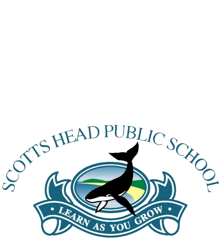 Schools – Mid North Coast PSSA